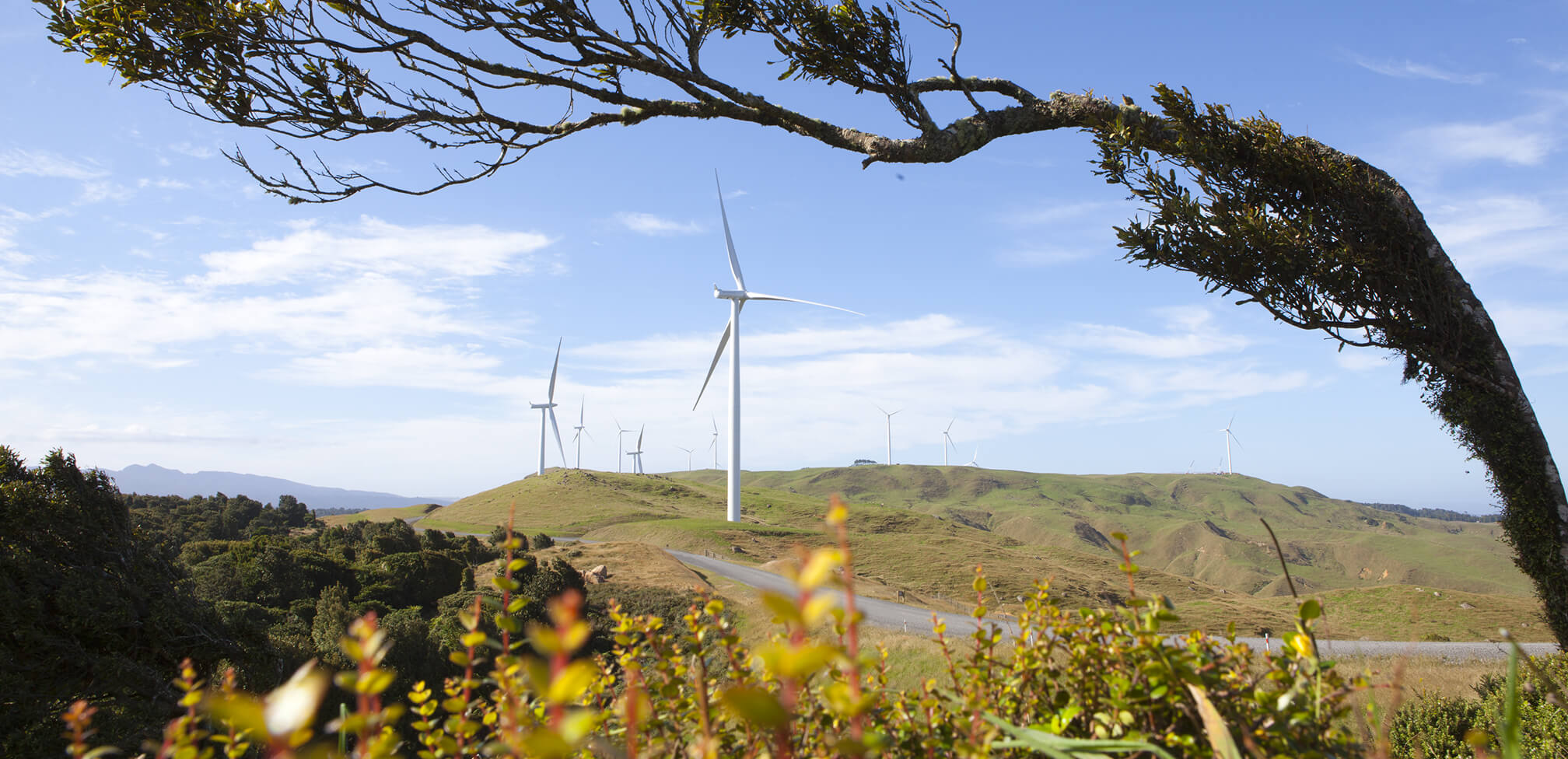 Certified Impact & Transparency Report 2024 | Meridian