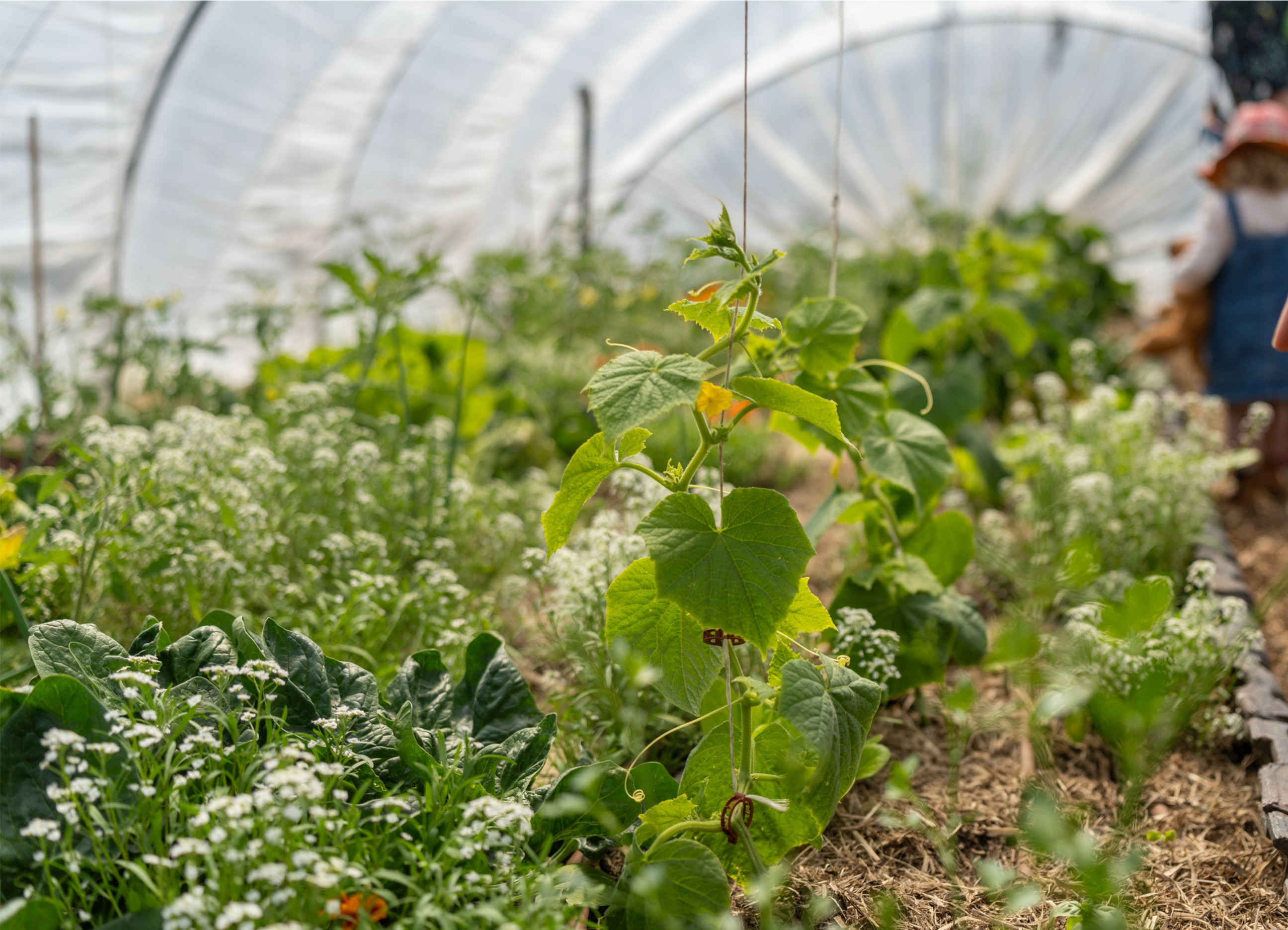 Certified Impact & Transparency Report 2024 | Meridian